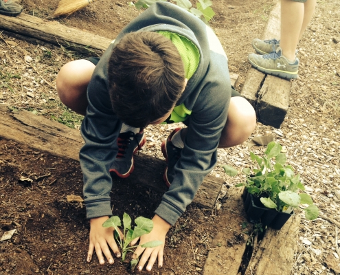 Nature Smart – Wauka Mountain Multiple Intelligences Academy